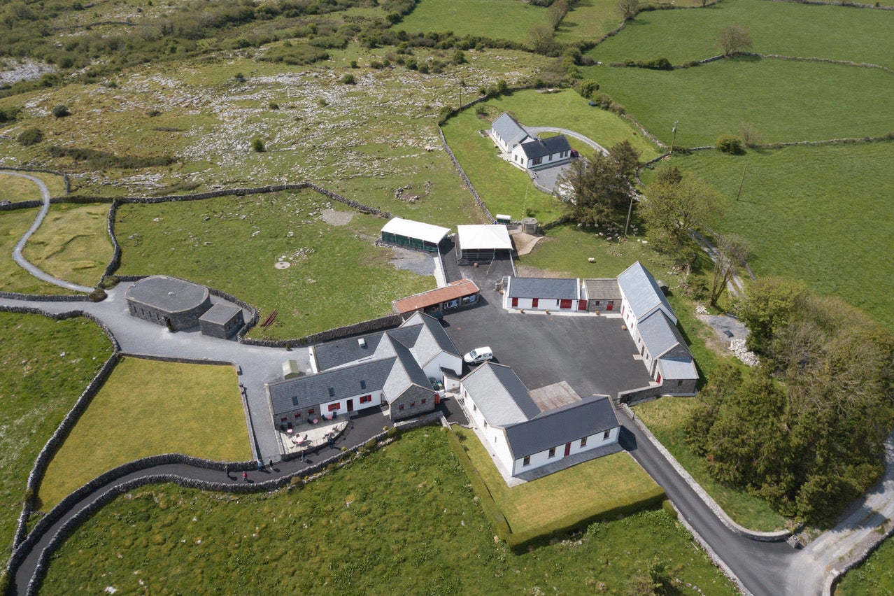 Visit Caherconnell Fort Sheepdog Demonstrations With Discover Ireland